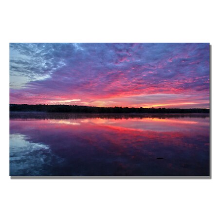 Trademark Fine Art CATeyes 'The Mystery' Canvas Art, 16x24 MZ0210-C1624GG | Zoro